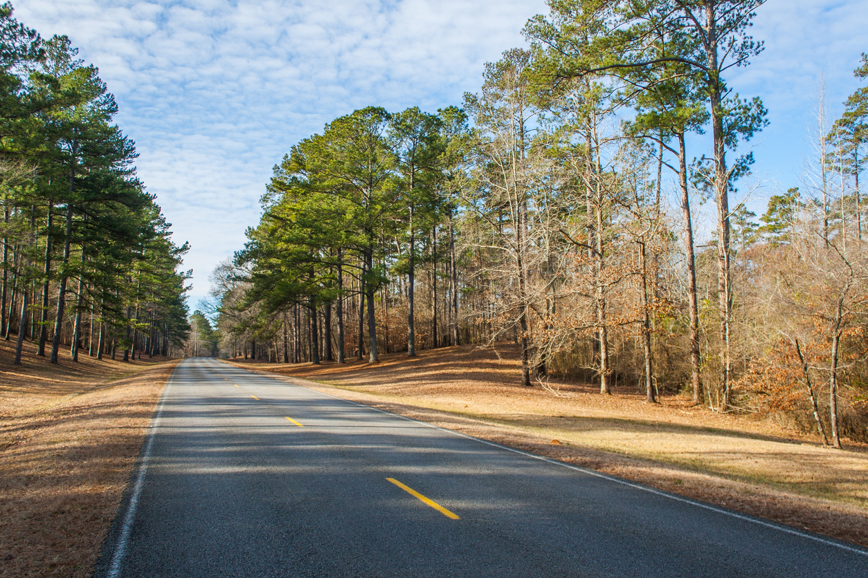 Natchez Trace – matt tullos: writer